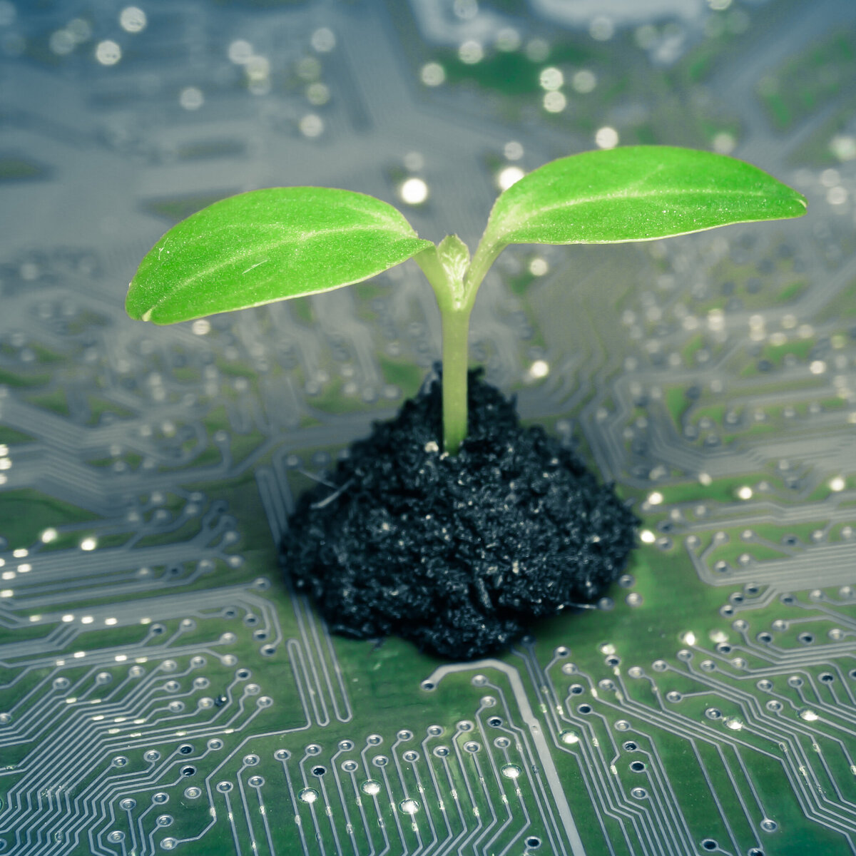 Products – Siltronic / perfect silicon solutions